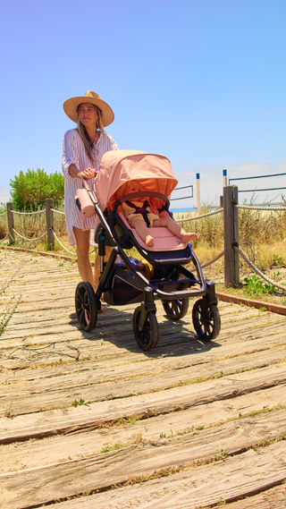 Switch&Roll Stroller